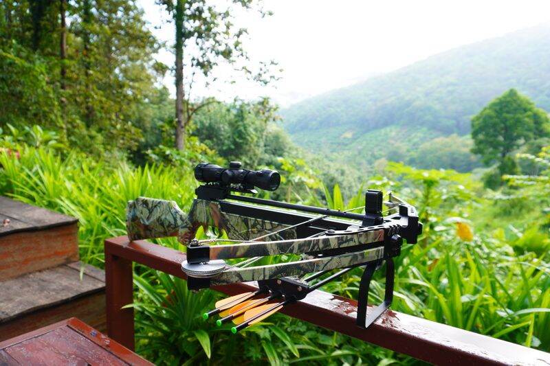 ช้อปออนไลน์ จำหน่ายหน้าไม้และอุปกรณ์เดินป่า | Lazada Thailand