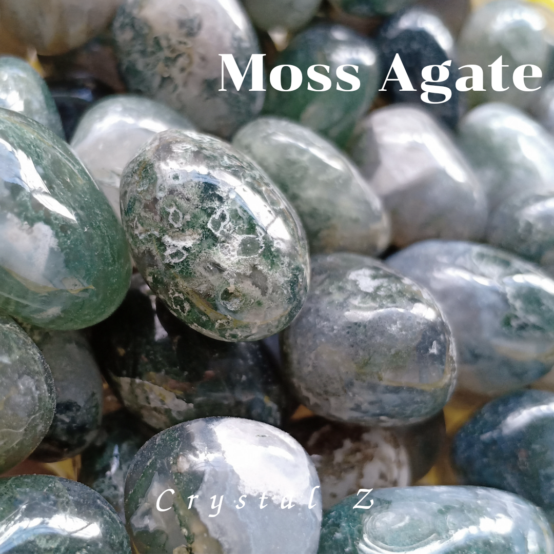 Crystal Z - มอสอาเกต moss agate หินขัดเงา แร่สีเขียว หินธรรมชาติ หินสะสม | Lazada.co.th
