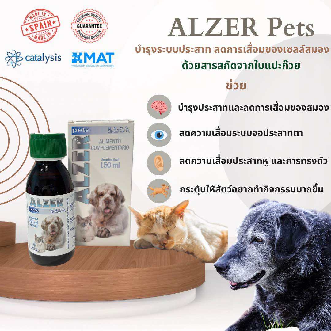 Alzer pets วิตามินอาหารเสริมระบบปราสาทและสมองสำหรับสุนัขและแมว | Lazada ...