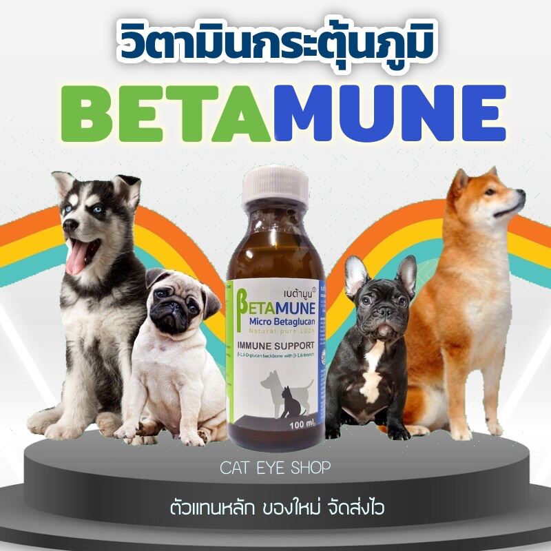 เบต้า กลูแคน เบต้ามูน Betamune วิตามินกระตุ้นและเสริมสร้างภูมิคุ้มกัน ...