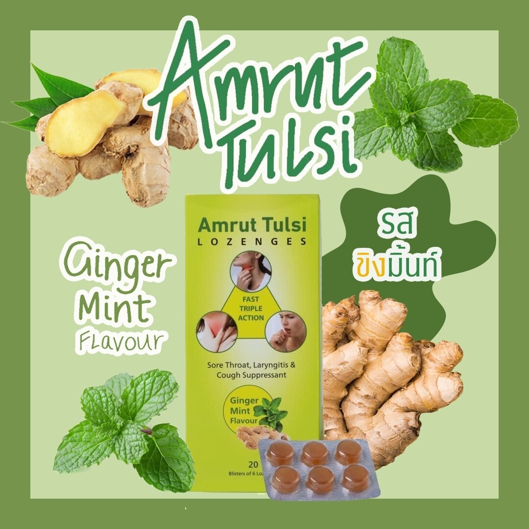 Amrut Tulasi Ginger & MInt กระเพรา ขิงและสะระแหน่ ลูกอม 1 แถบ 6 ลูกอม ...