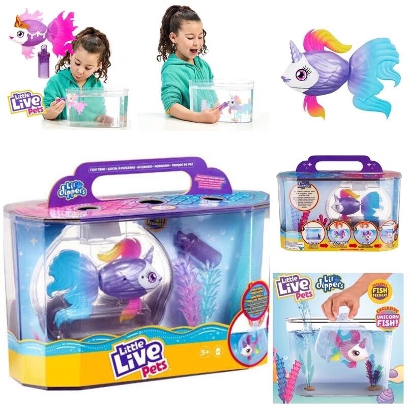 พร้อมส่ง ปลามีชีวิต ยี่ห้อ Little Live Pets - Lil' Dippers Fish Tank ...