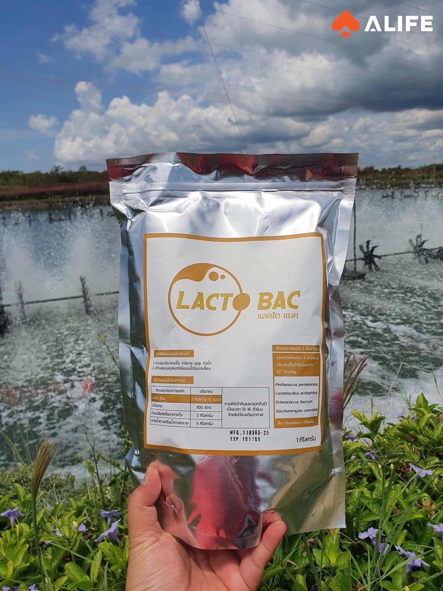 Lacto Bac แลคโต แบค จุลินทรีย์ทำน้ำหมักสับปะรด สูตรหมอเจี๊ยบ ขนาด 1 กก. ...