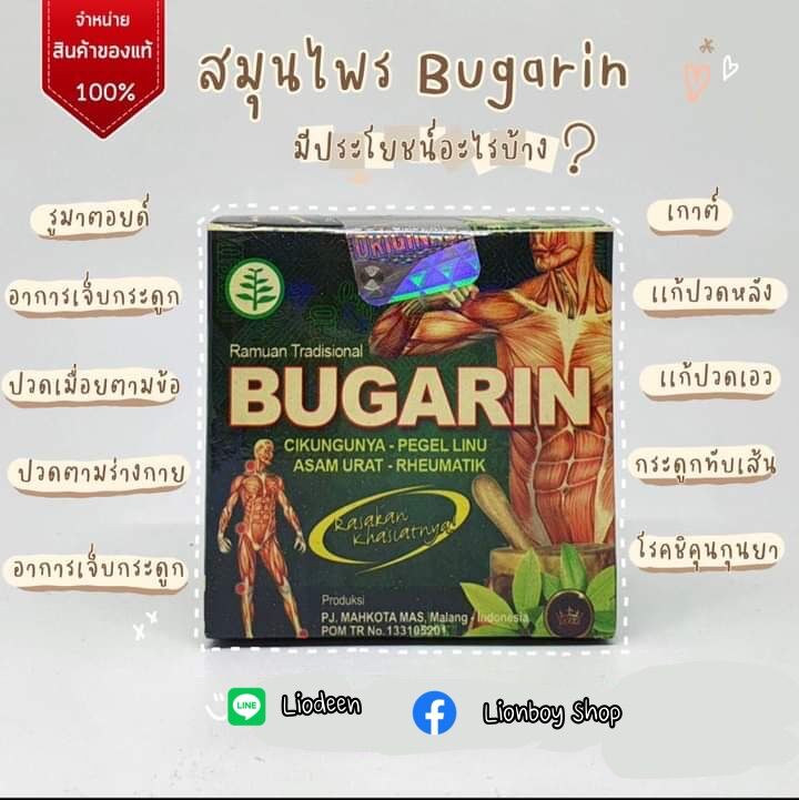 Bugarin สมุนไพรแก้ปวด เก๊าท์ สินค้ามีพร้อมส่ง - LionBoy - ThaiPick