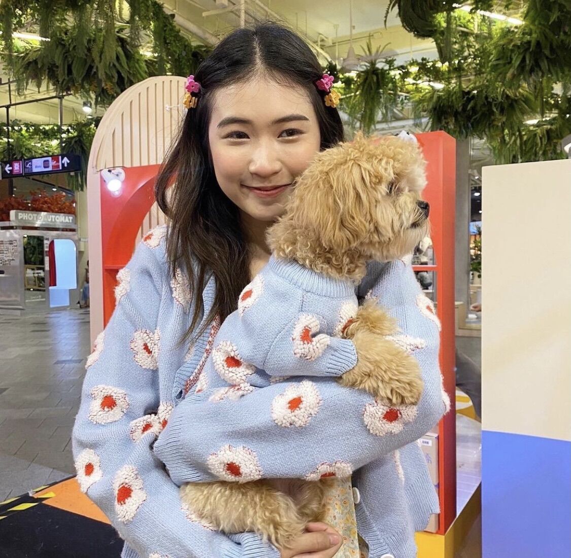 FLOWER BLUE (สำหรับน้องหมาน้องเเมว) - Mellow Pet Shop - ThaiPick