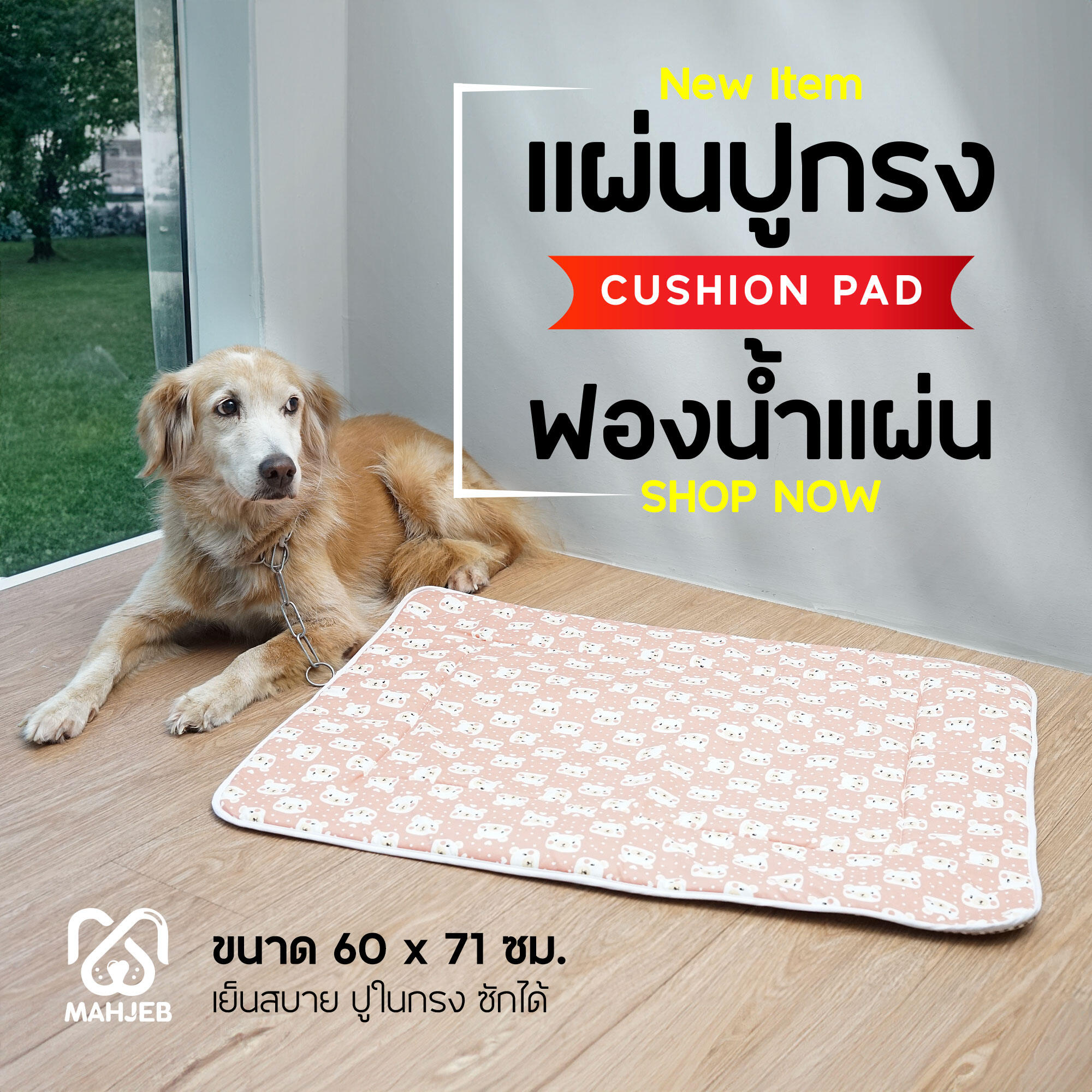 Mahjeb หมาเจ็บ แผ่นปูกรงขนาด 60x72 ซม. | Lazada.co.th