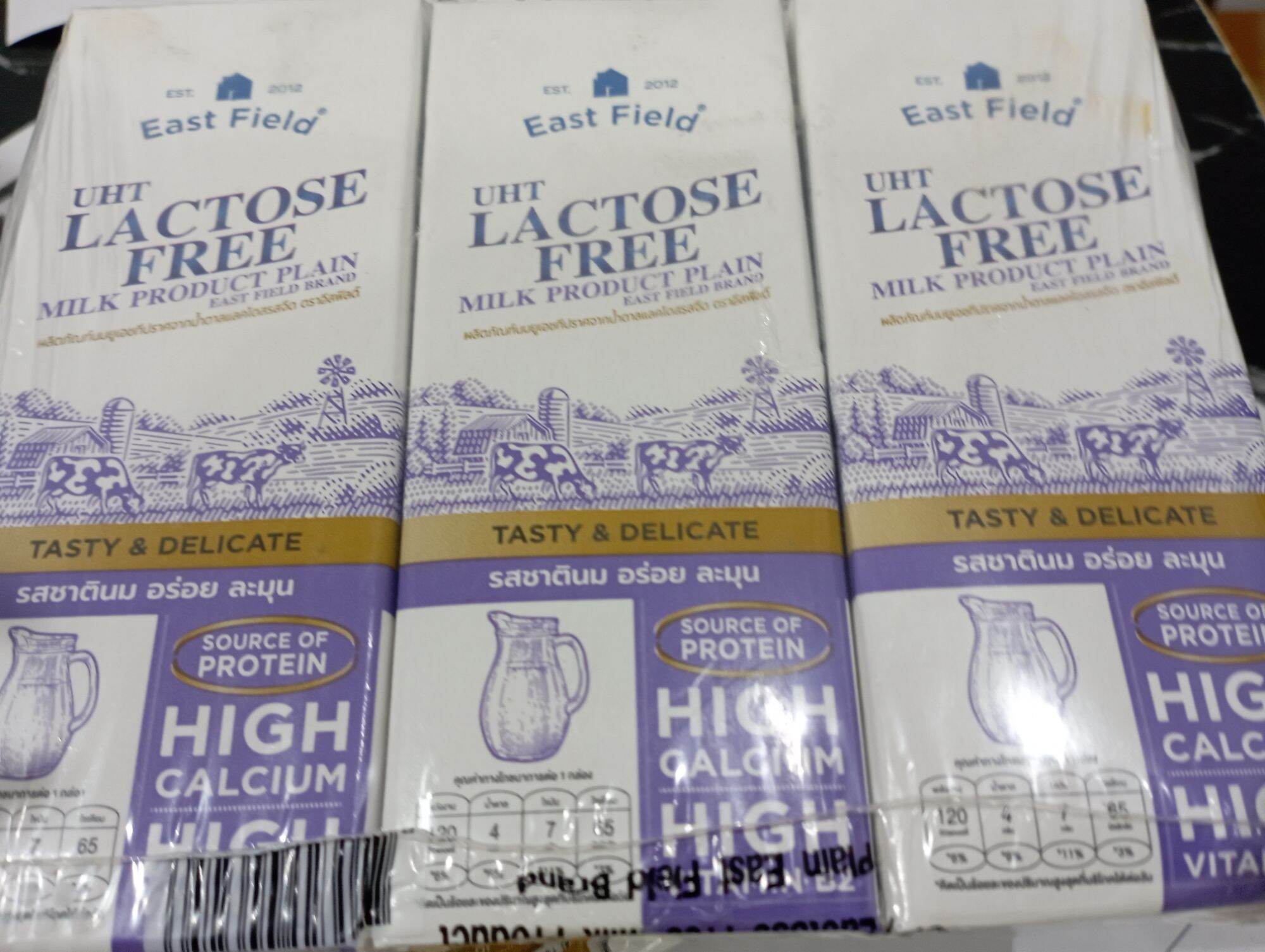 UHT LACTOSE FREE MILK PRODUCT PLAIN | Lazada.co.th