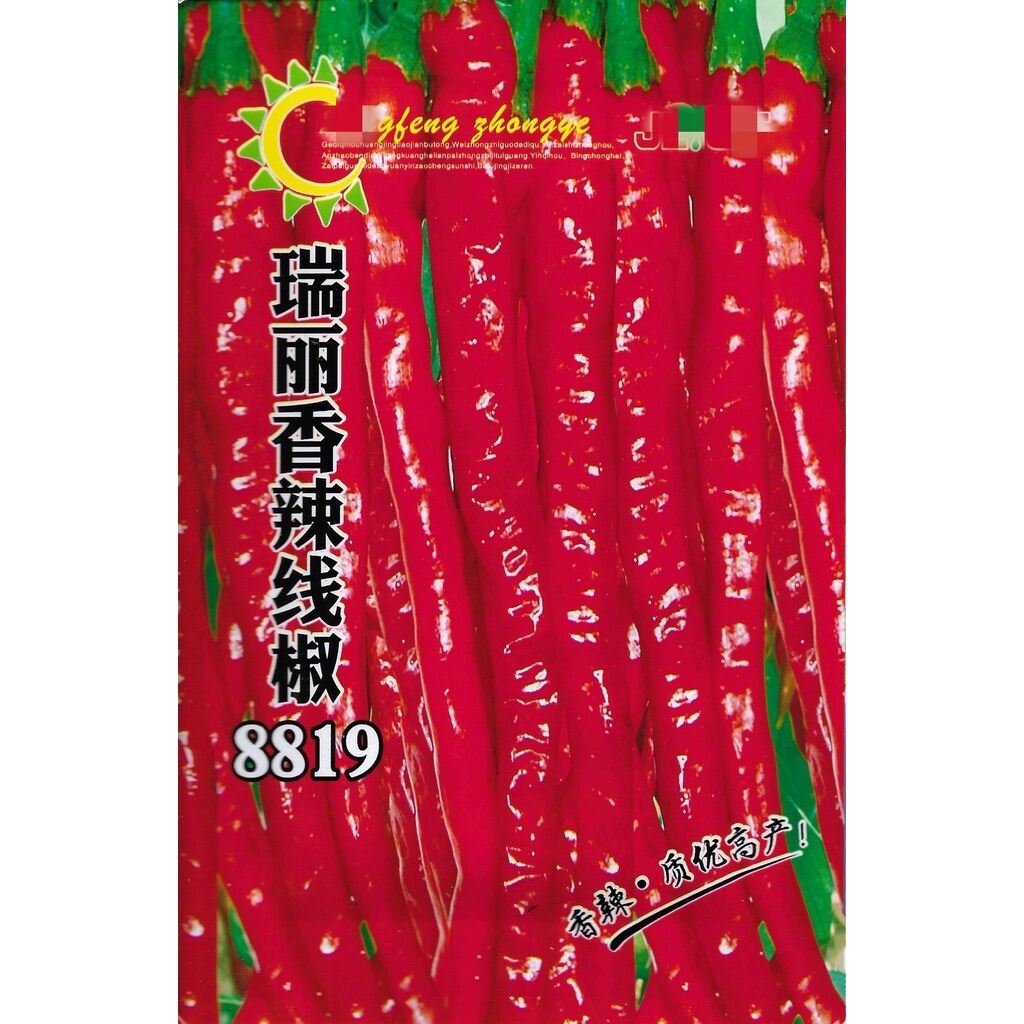 เมล็ดพันธุ์ พริกโจลอง 500 เมล็ด เมล็ดพริกยาวจีนยอดนิยม เมล็ดนำเข้า ...