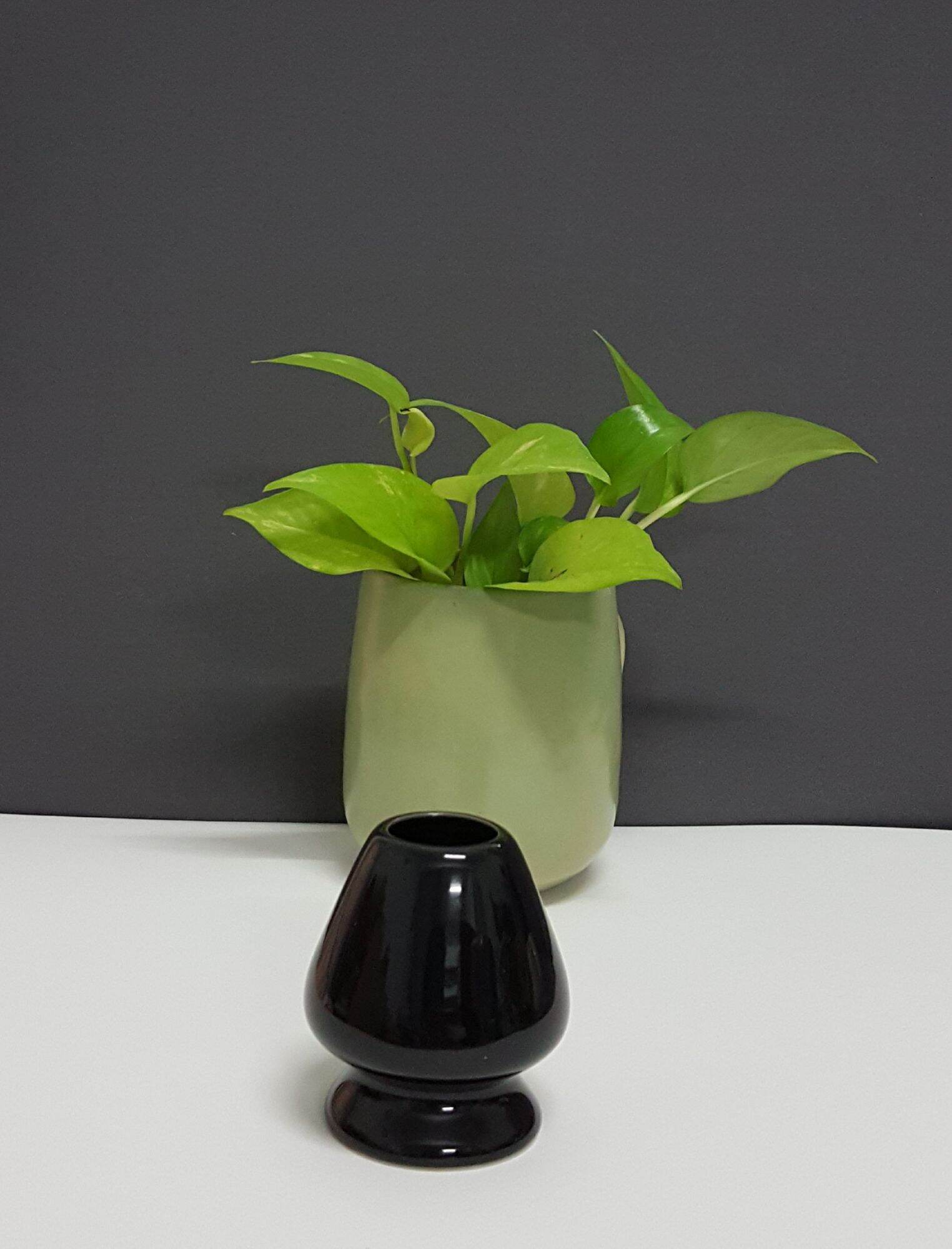 ที่ตั้งแปรงชงมัทฉะ แท่นวางแปรงไม้ไผ่ชงชา Chasen holder | Lazada.co.th