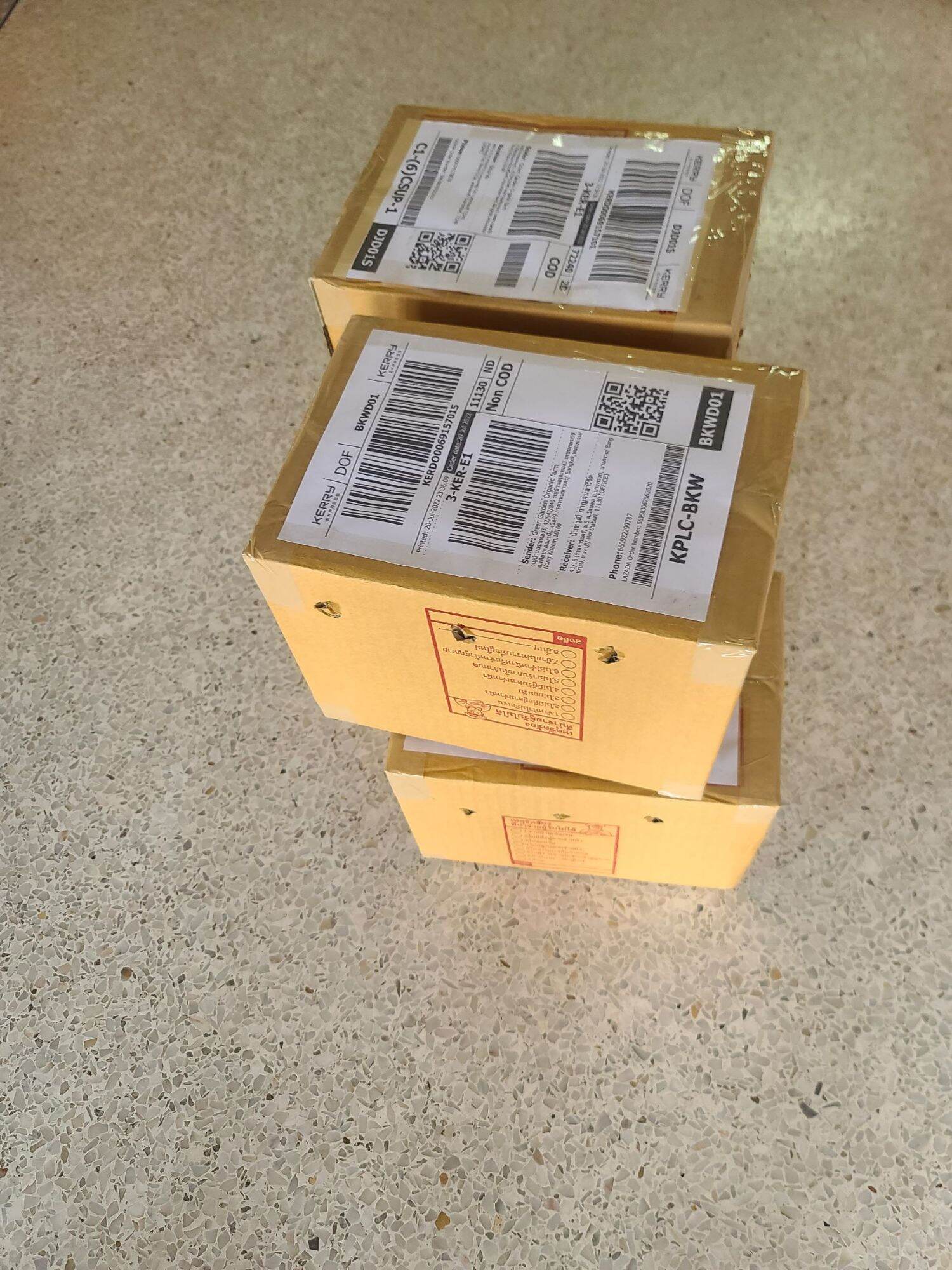 ไส้เดือนพันธุ์ AF 500กรัม 1000กรัม / Worm AF 500G ,1000G ไม่รวมเบดดิ้ง ส่งตาย เคลมฟรีครับ ( - บี ...