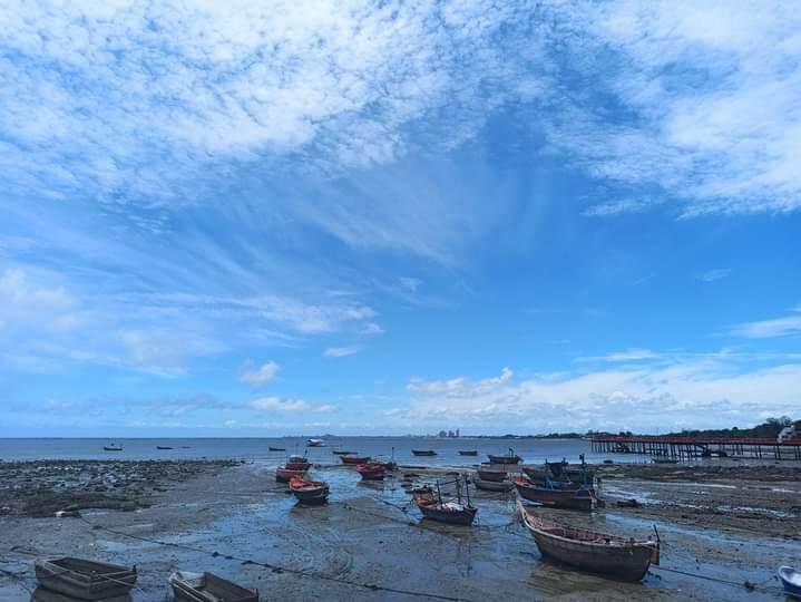 ช้อปออนไลน์ ที่ Banoom | lazada.co.th