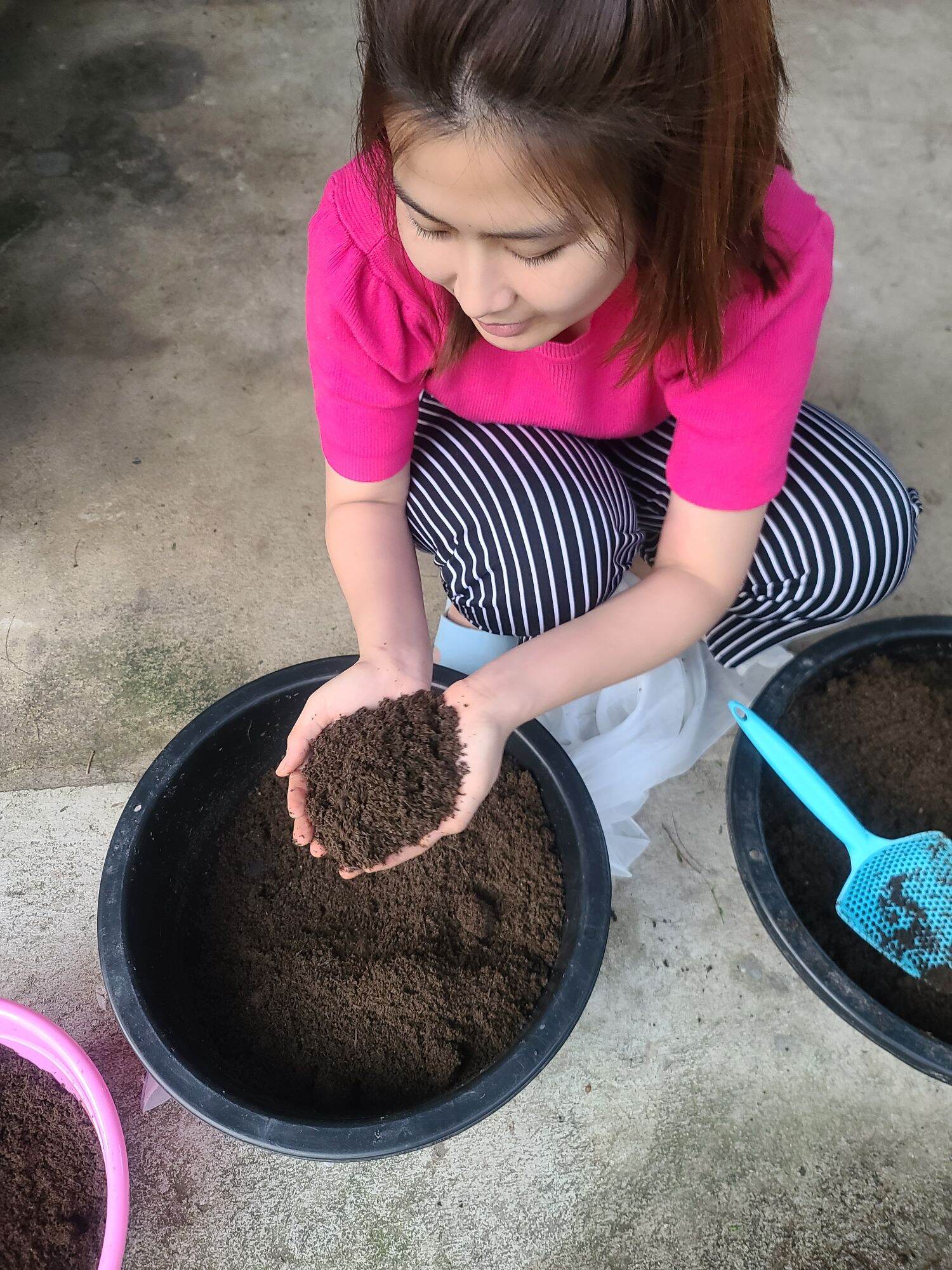 ช้อปออนไลน์ ที่ บีเอฟ ฟาร์ม ออแกนิค | lazada.co.th