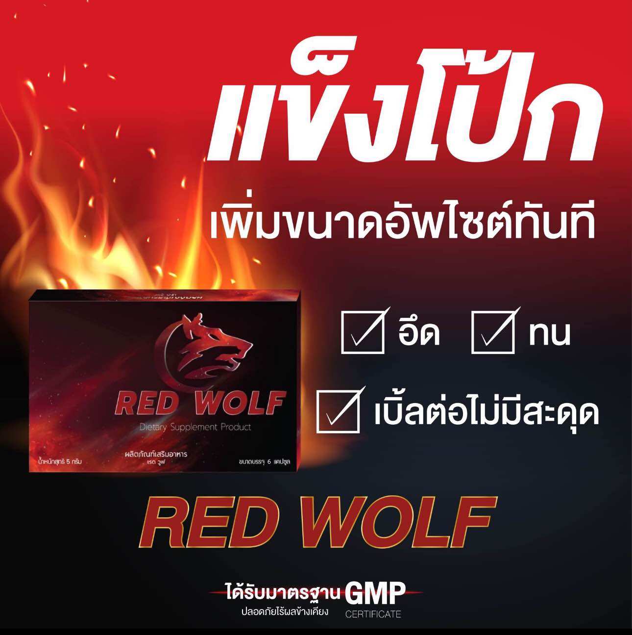 Red wolf หมาแดงในตำนาน | Lazada.co.th