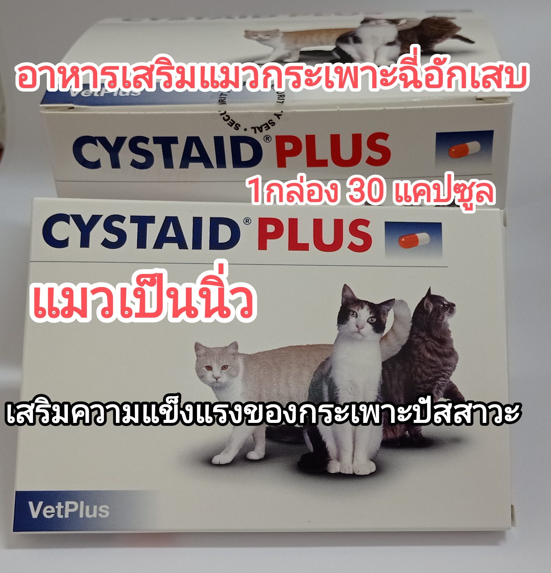 exp03/25 cystaid plus vetplus อาหารเสริมสำหรับแมว 1กล่อง 30capsule เลข ...