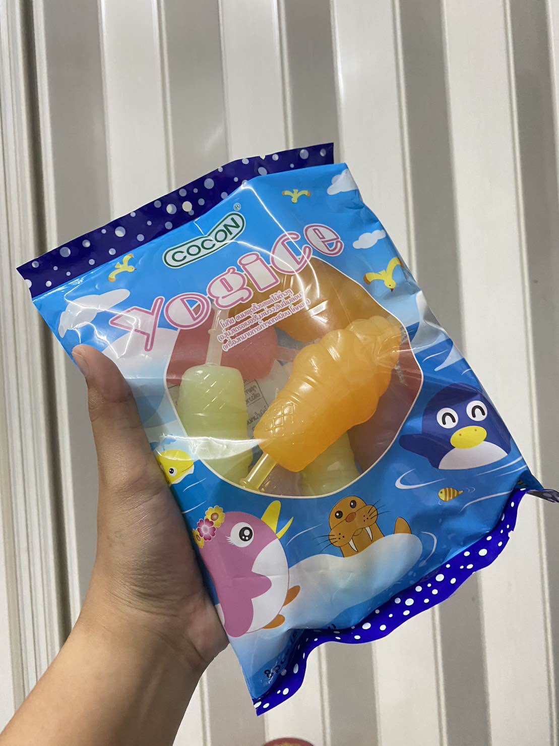 cocon yogice โยกิช พุดดิ้งรสผลไม้ 504 ml พุดดิ้งโยเกิร์ต โคค่อน ...