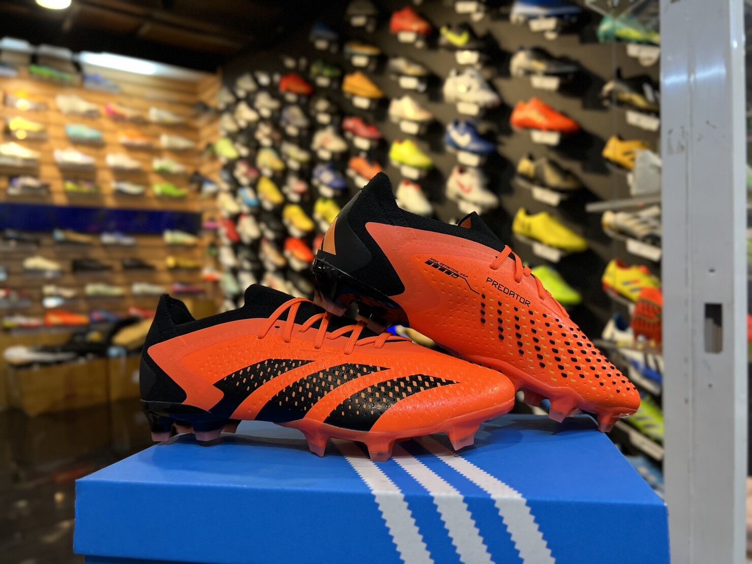 สตั๊ด Adidas Predator Accuracy PP.1 Low FG รองเท้าฟุตบอล ตัวท็อป ...