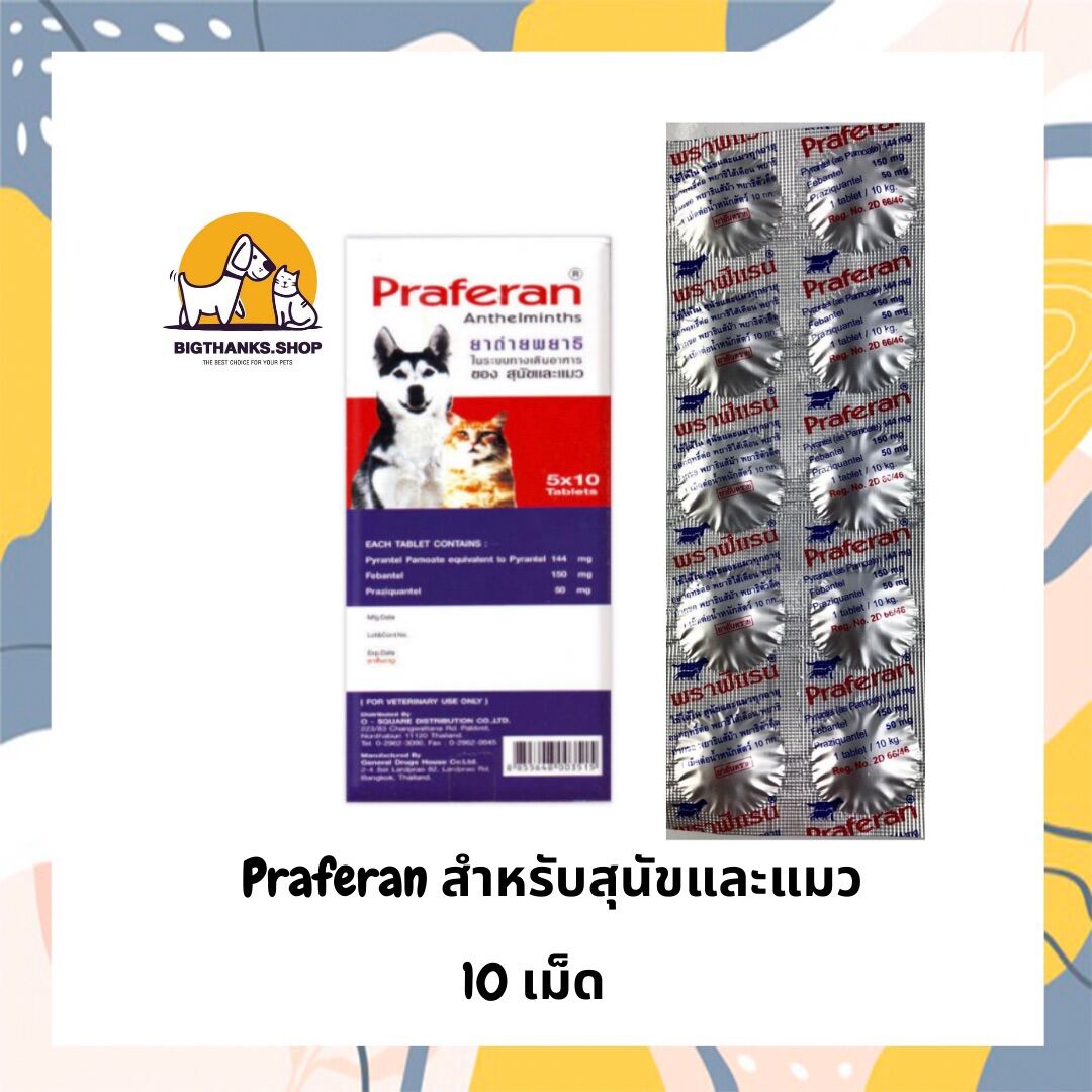(ขนาด 10 เม็ด) Praferan สำหรับสุนัข 1 แผง - Bigthanks.shop - ThaiPick