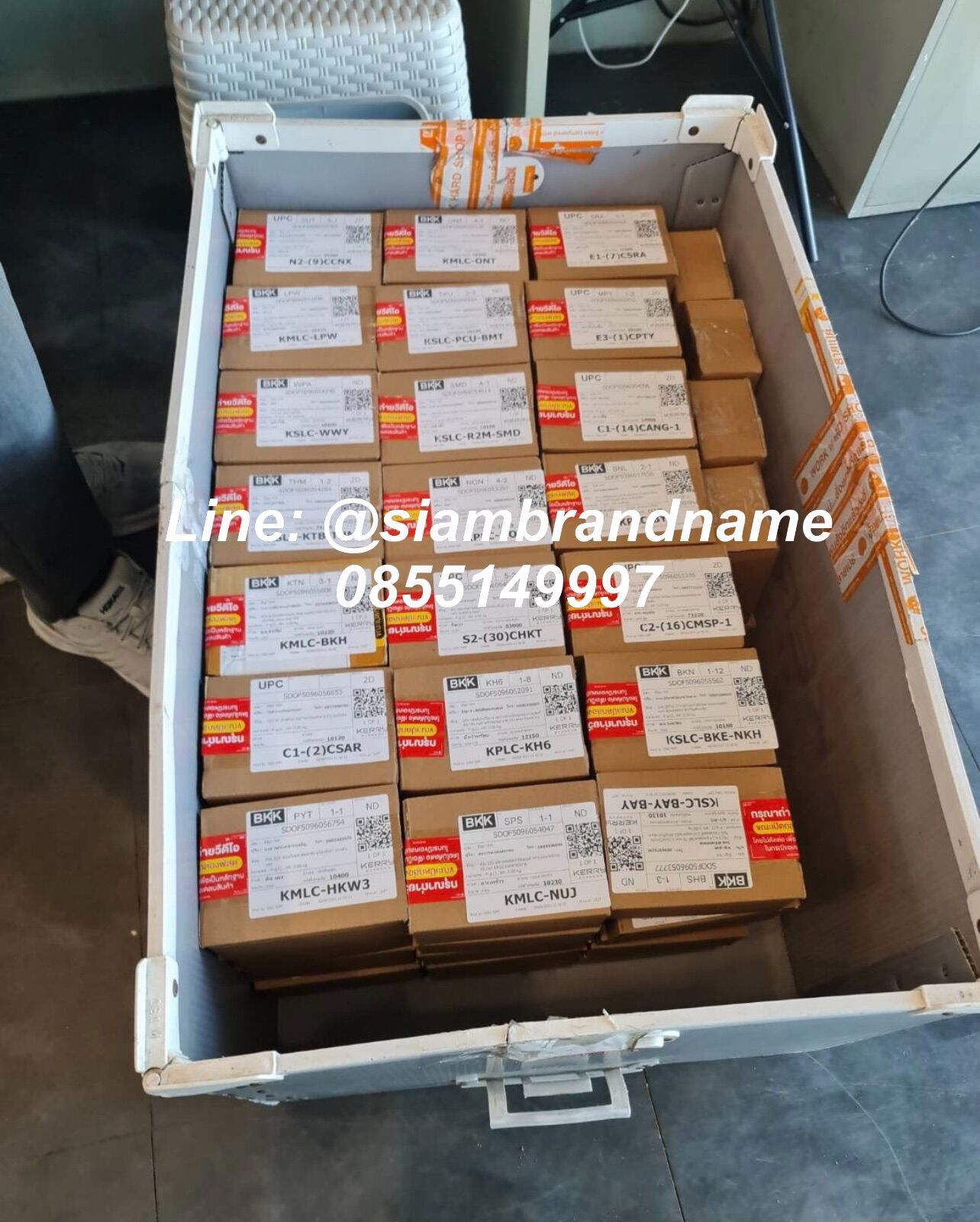 บัตรเติมน้ำมัน ปตท Gift Card PTT Station Privilege Card บัตรน้ำมัน ปตท. ...