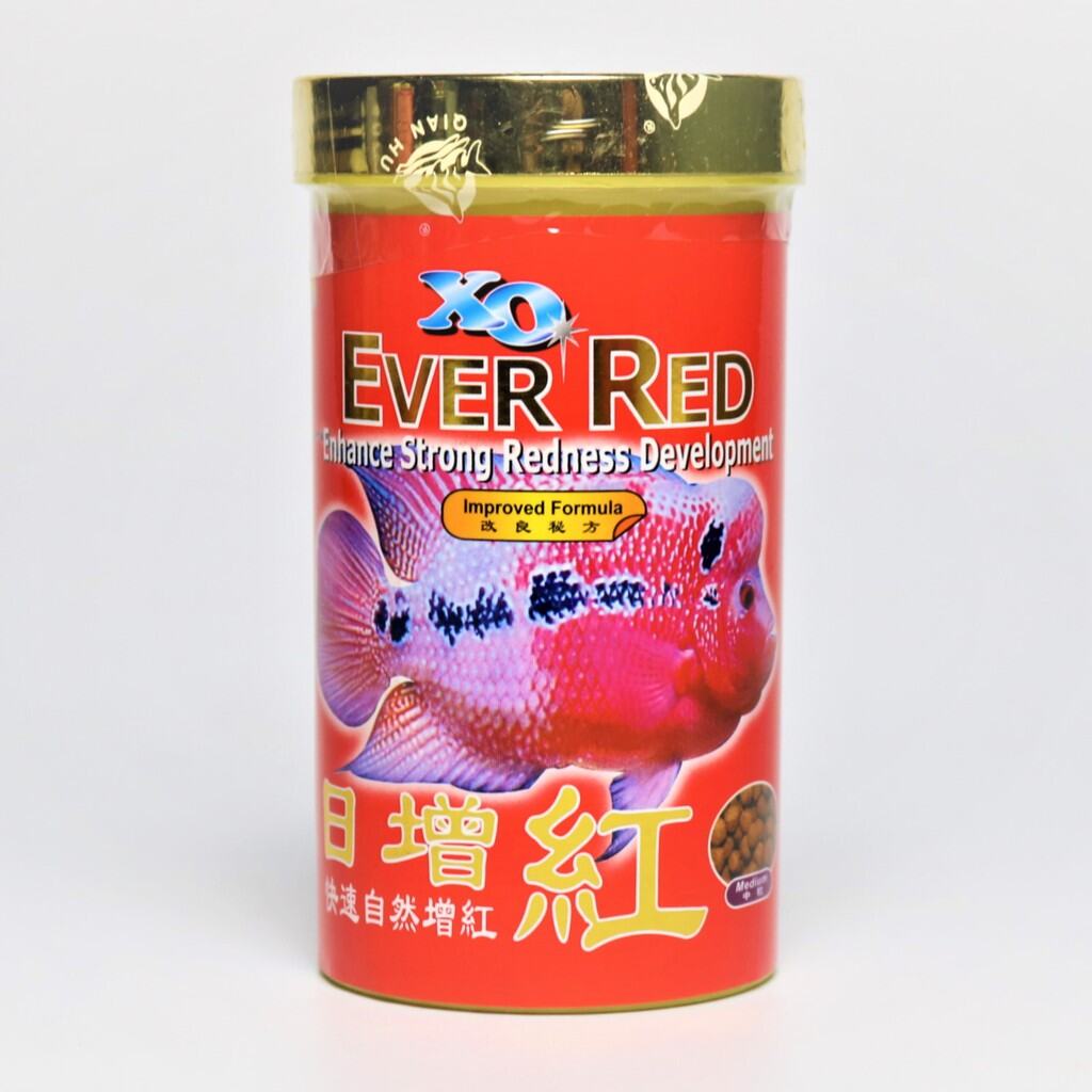 XO EVER RED อาหารปลาหมอสี สูตรเร่งสี - Phamn - ThaiPick