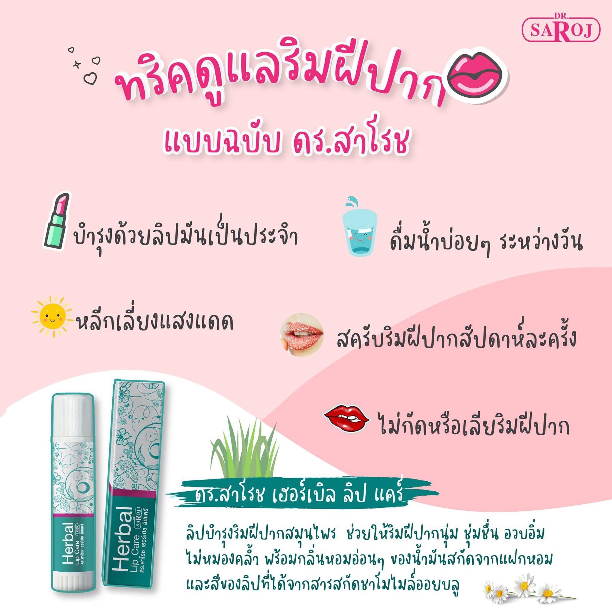 ดร.สาโรช เฮอร์เบิล ลิปแคร์ 10g. จัดส่งฟรี - Dr.Saroj Nonthaburi - ThaiPick
