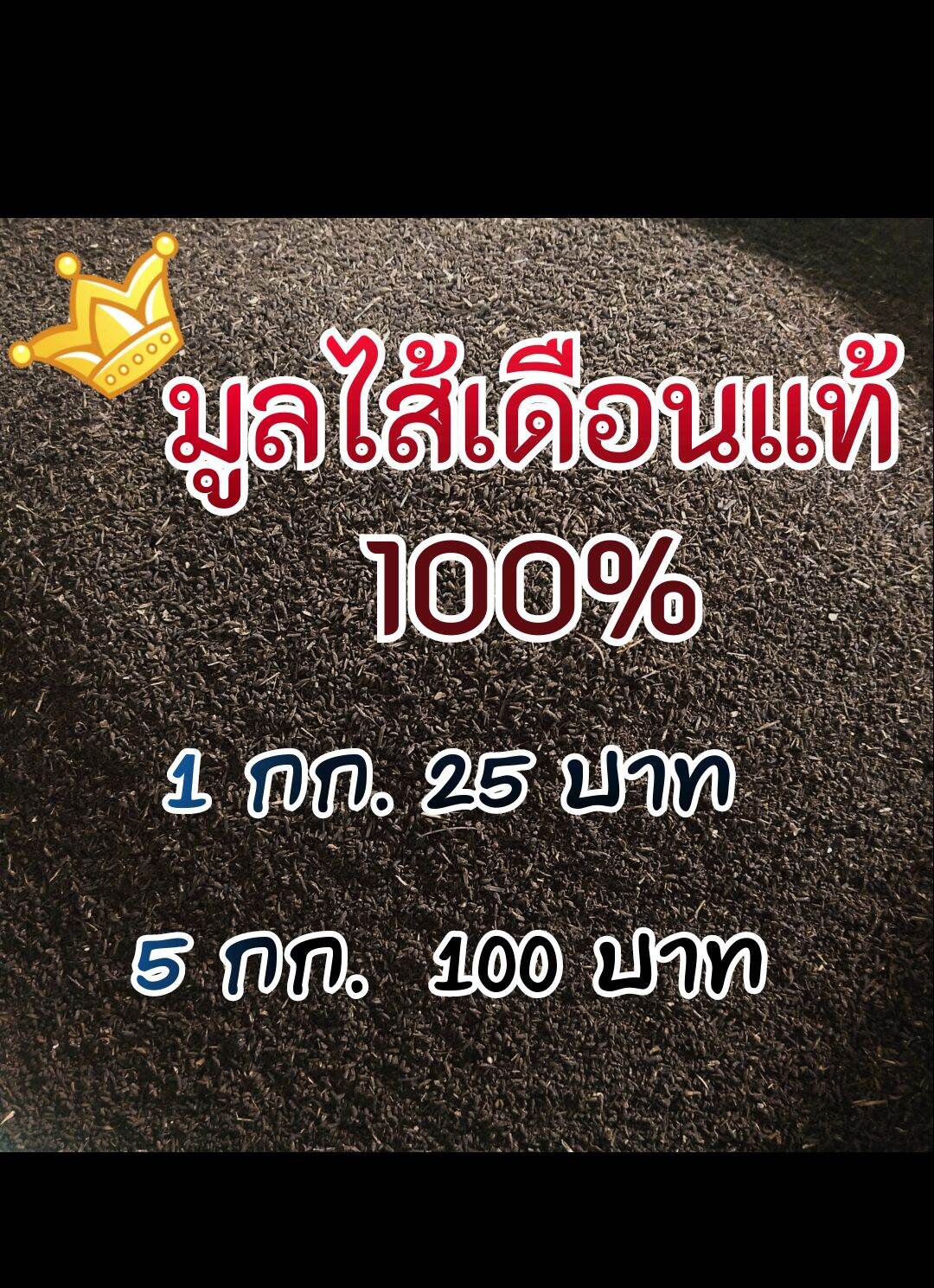 มูลไส้เดือนแท้ 100% ช่วยบำรุงดิน เสริมธาตุอาหารพืช 500 กรัม / 1000 กรัม - พูลสุขแคคตัส - ThaiPick