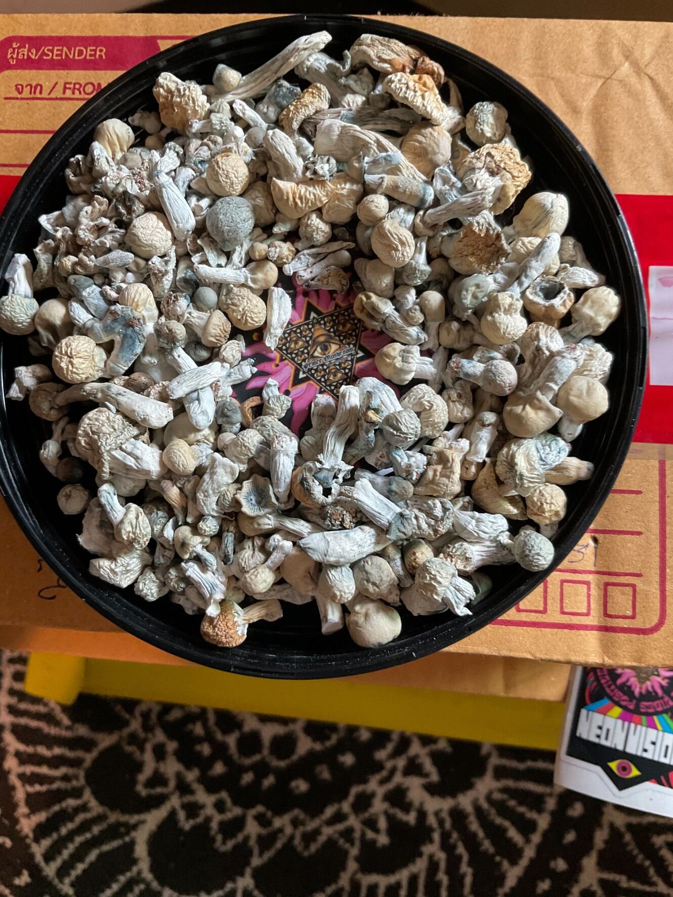 magic shroom th - Magic mushroom th8 - ThaiPick