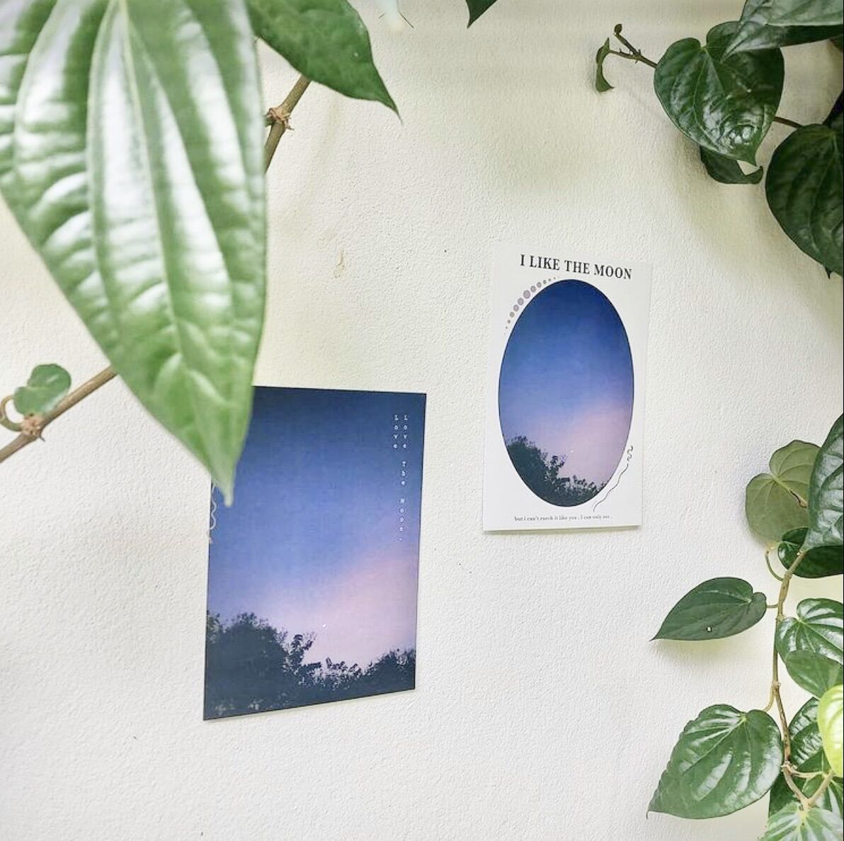 Postcard โปสการ์ดตกแต่งห้อง โปสการ์ดภาพถ่าย - blueberry moon ...