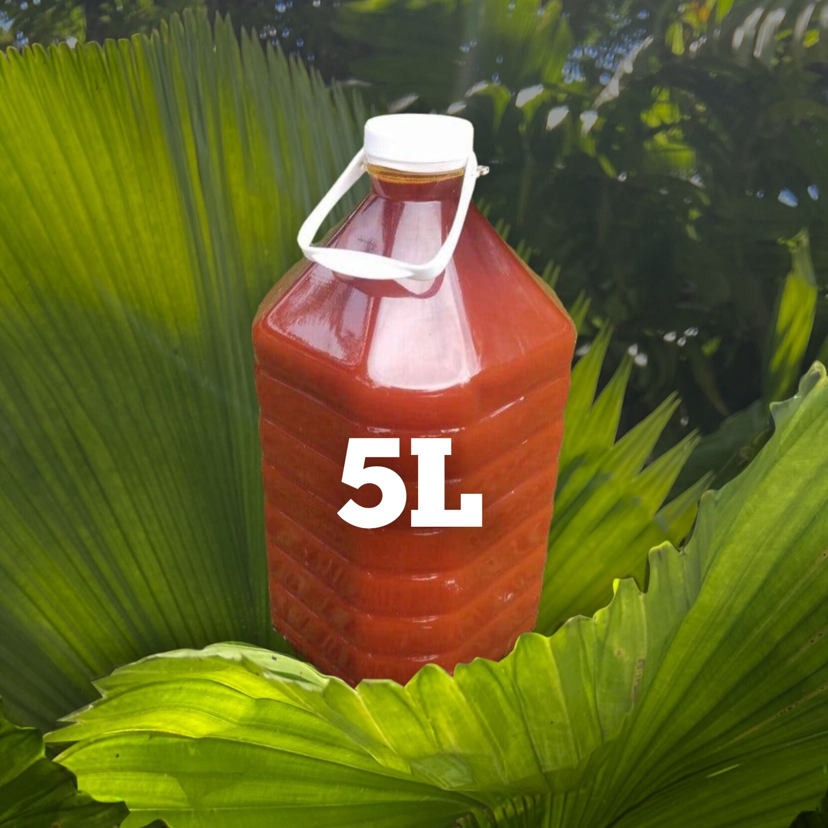 Original Red Palm Cooking Oil | Lazada.co.th