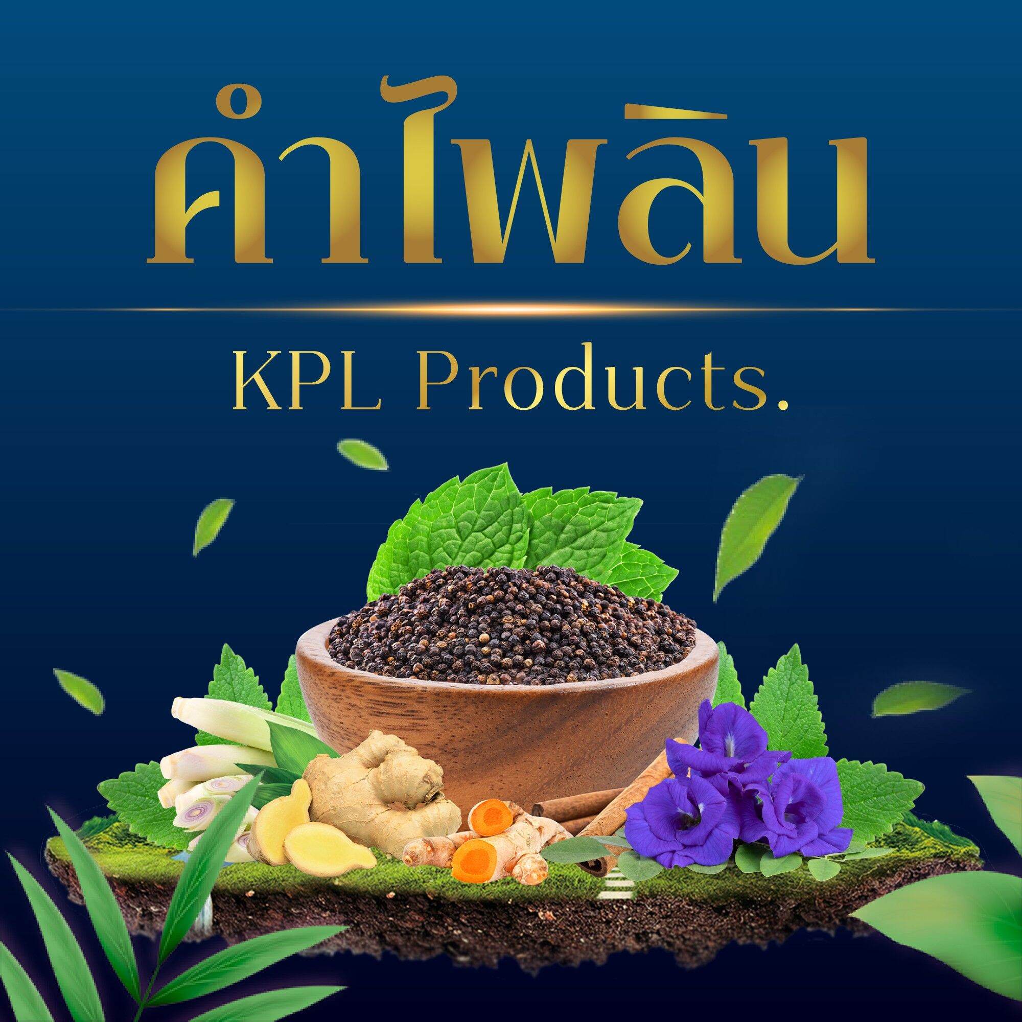 ช้อปออนไลน์ ที่ KPL-KAMPAILIN PRODUCT ST. | lazada.co.th