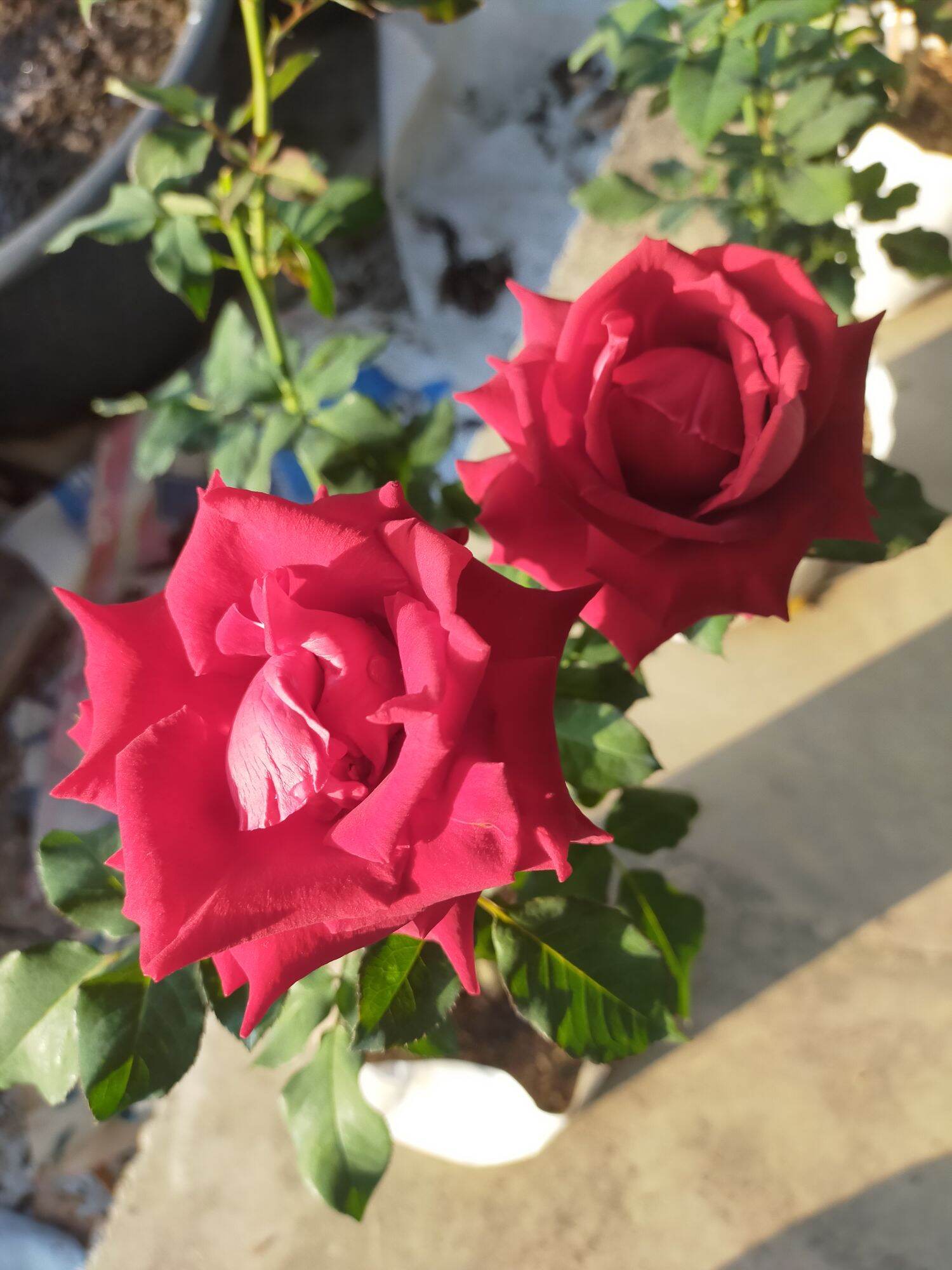 Shop online with Ekky now! Visit Ekky on Lazada.