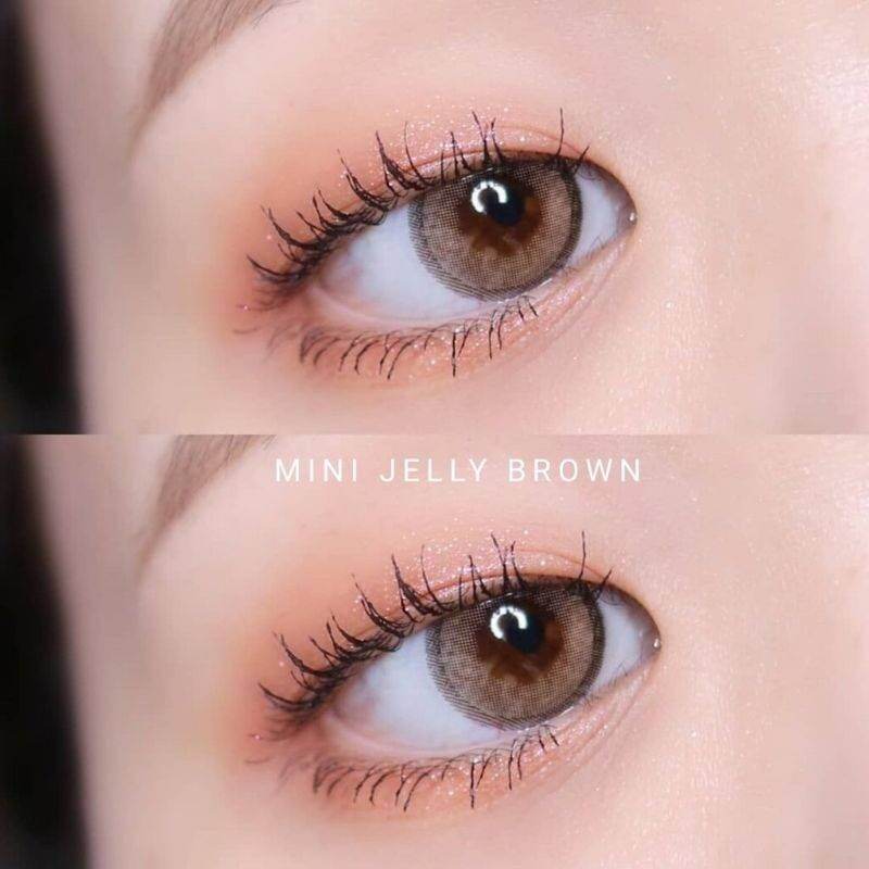 Mini Jelly Brown (ขนาด14.2) มีค่าสายตาและสายตาปกติ คอนแทคเลนส์ Kitty ...