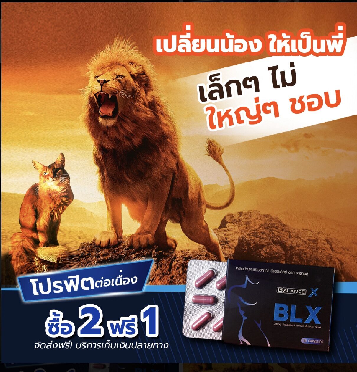 Balance X - BLX แคปซูลอาหารเสริมสำหรับคุณผู้ชาย (1 กล่อง 10 แคปซูล) ของ ...