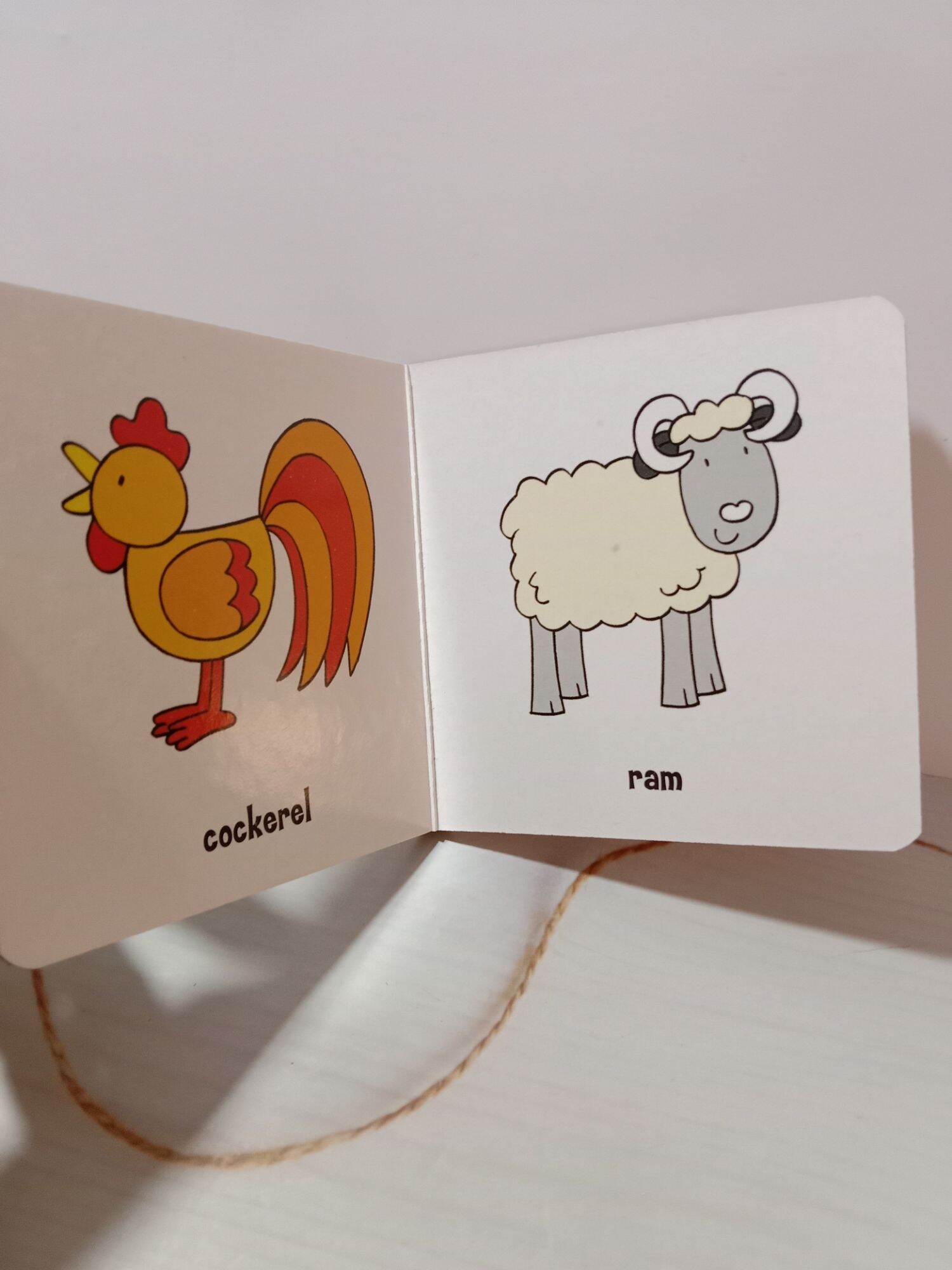 Animals Mini library - iibookstore by JI - ThaiPick