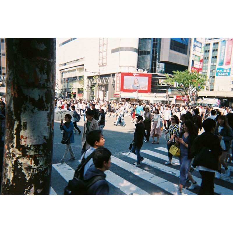 กล้องใช้แล้วทิ้ง Fuji simple ace 27 รูป iso 400 กล้องใช้แล้วทิ้ง Japan ...