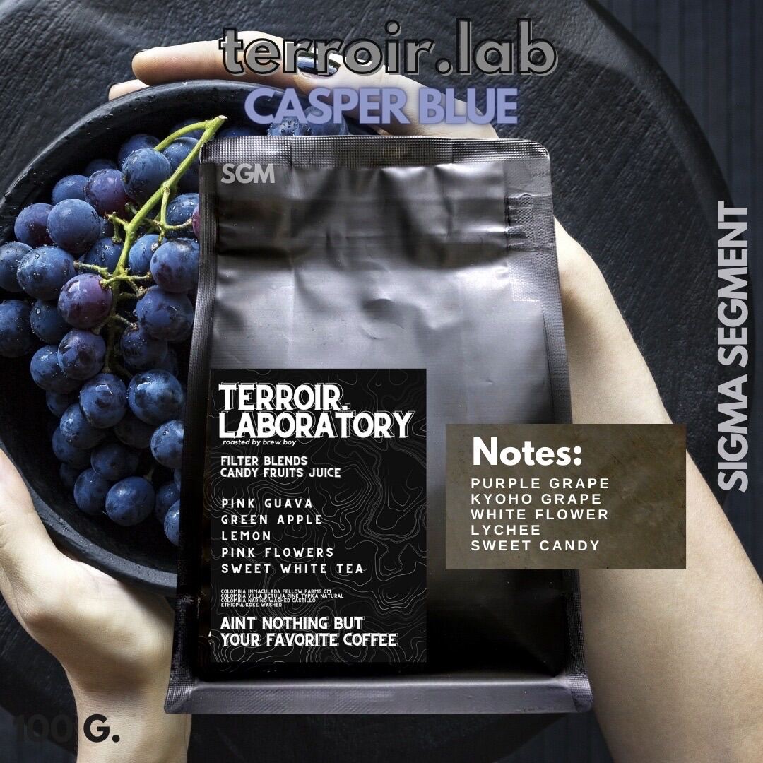เมล็ดกาแฟ CASPER BLUE (100g.) — TERROIR LABORATORY | Lazada.co.th