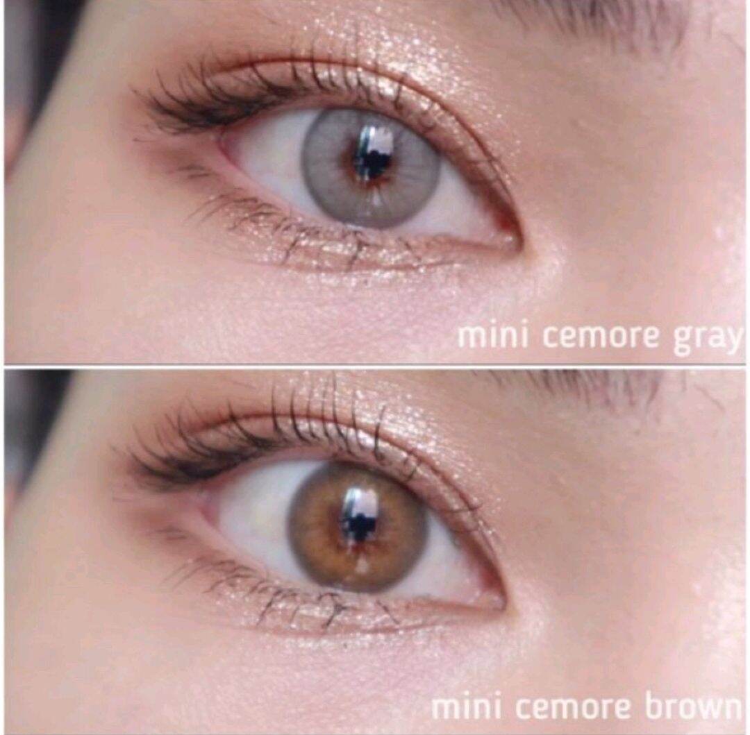 คอนแทคเลนส์ รุ่น Mini Cemore สีเทา/ตาล มีค่าสายตา (0.00)-(10.00 ...