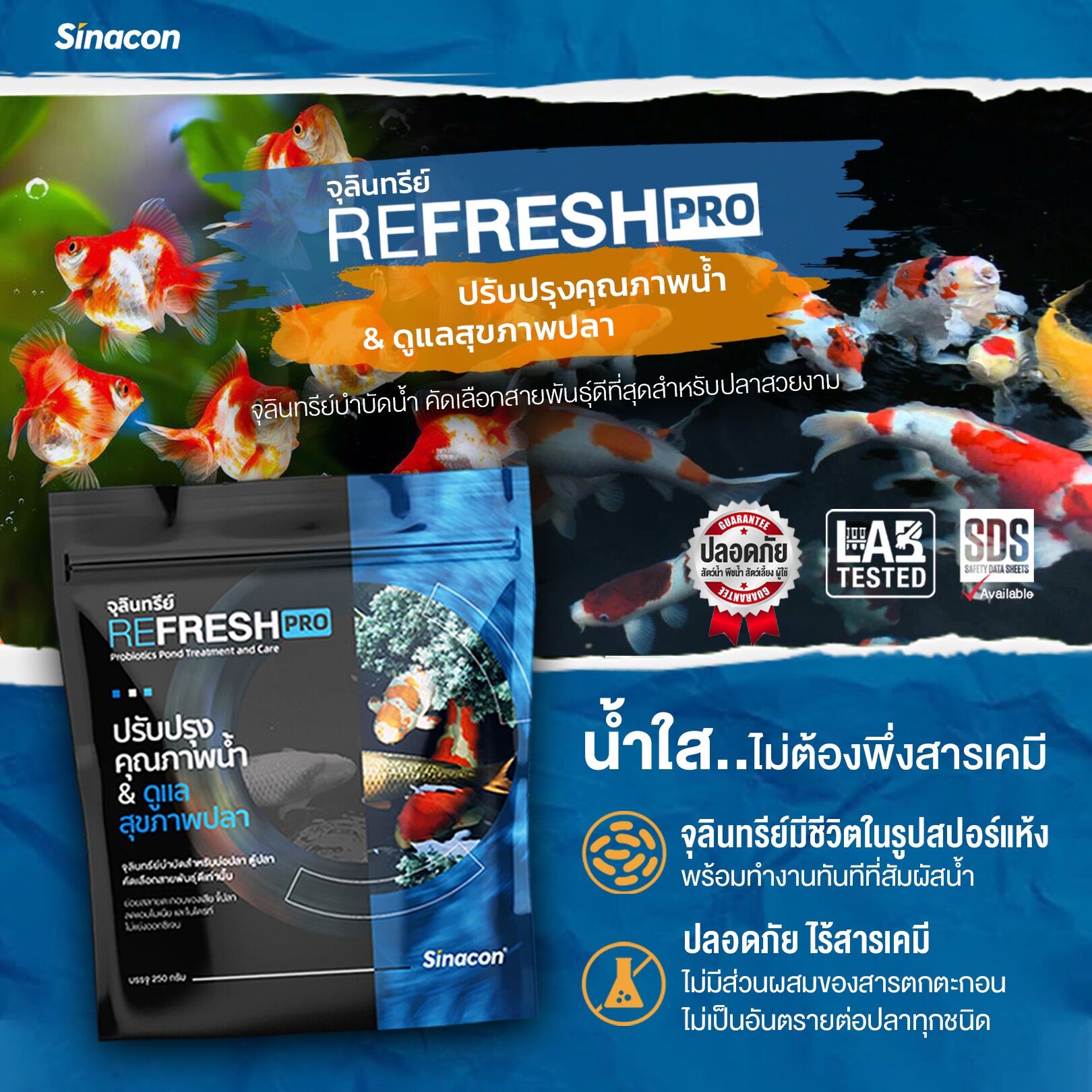 จุลินทรีย์ Refresh pro บำบัดน้ำบ่อปลา ตู้ปลา ปรับสภาพน้ำ - 27idear ...