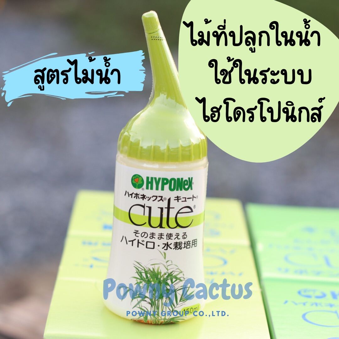 Hyponex Cute ปุ๋ยน้ำ นำเข้าจากญี่ปุ่น พร้อมส่ง ปุ๋ยไม้ใบ ไม้ดอก แคคตัส กล้วยไม้ | Lazada.co.th
