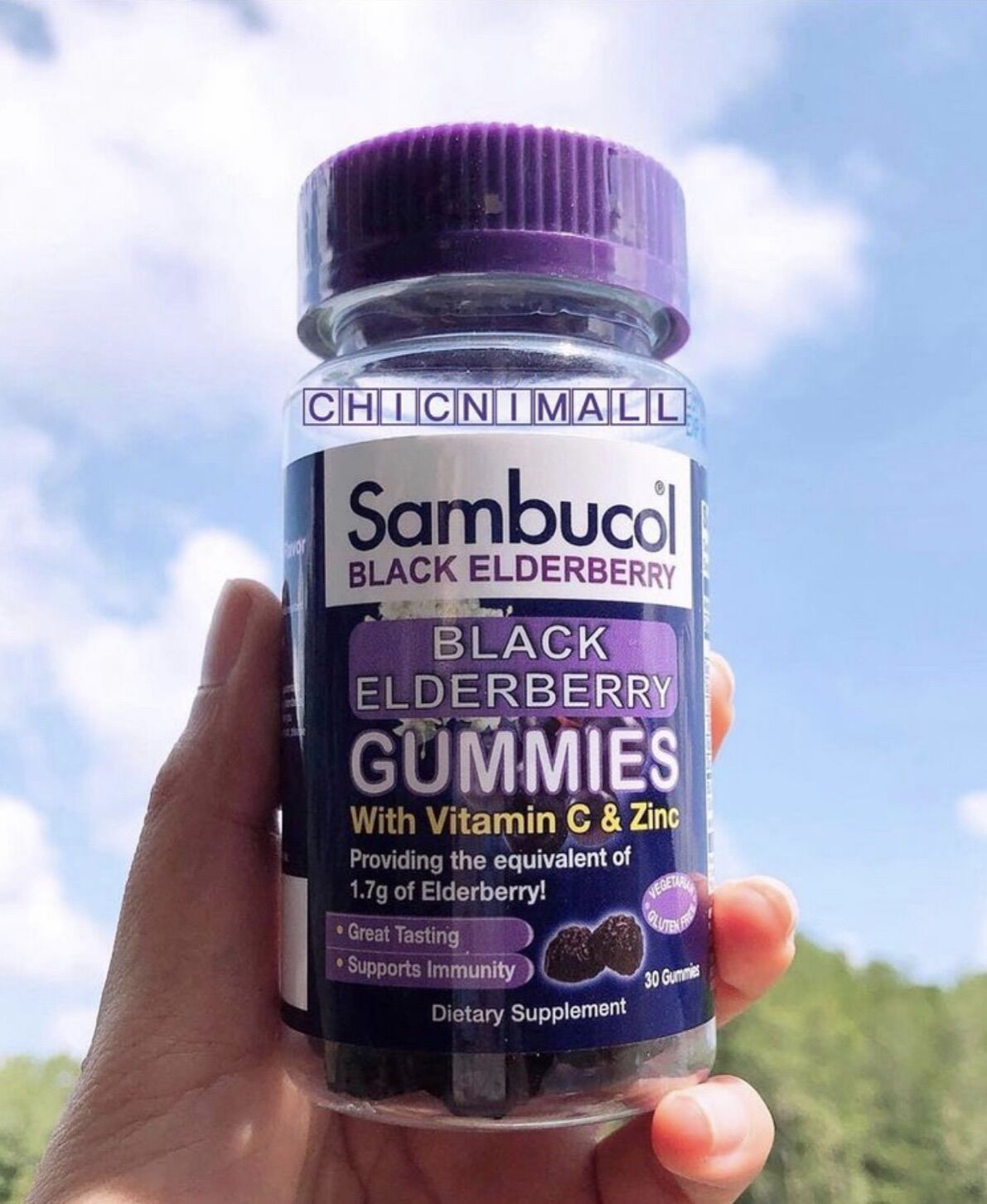BLACK ELDERBERRY Sambucol, Sambucol, Black Elderberry, 30 Gummies ...