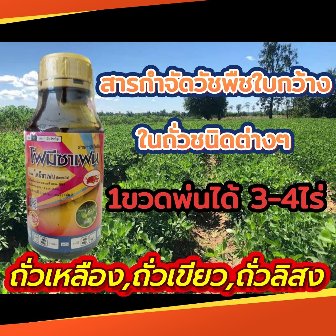โฟมีซาเฟน สารกำจัดวัชพืชใบกว้างชนิดดูดซึมในถั่วเหลือง ถั่วเขียว ถั่วลิสง 500ml | Lazada.co.th