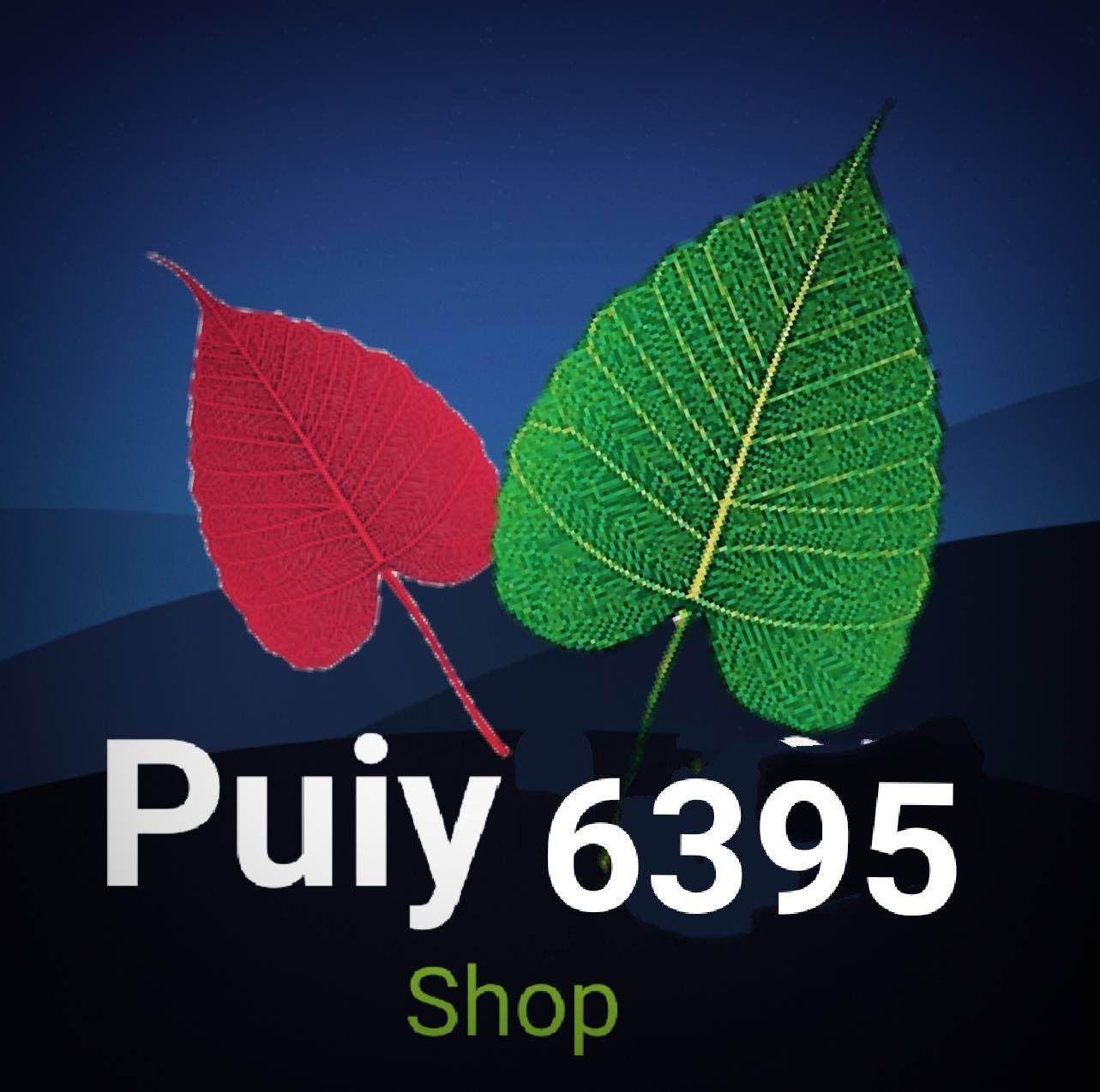 Puiy6395 ประเทศไทย ร้านค้าออนไลน์อย่างเป็นทางการ | ช้อปเลยบน Lazada