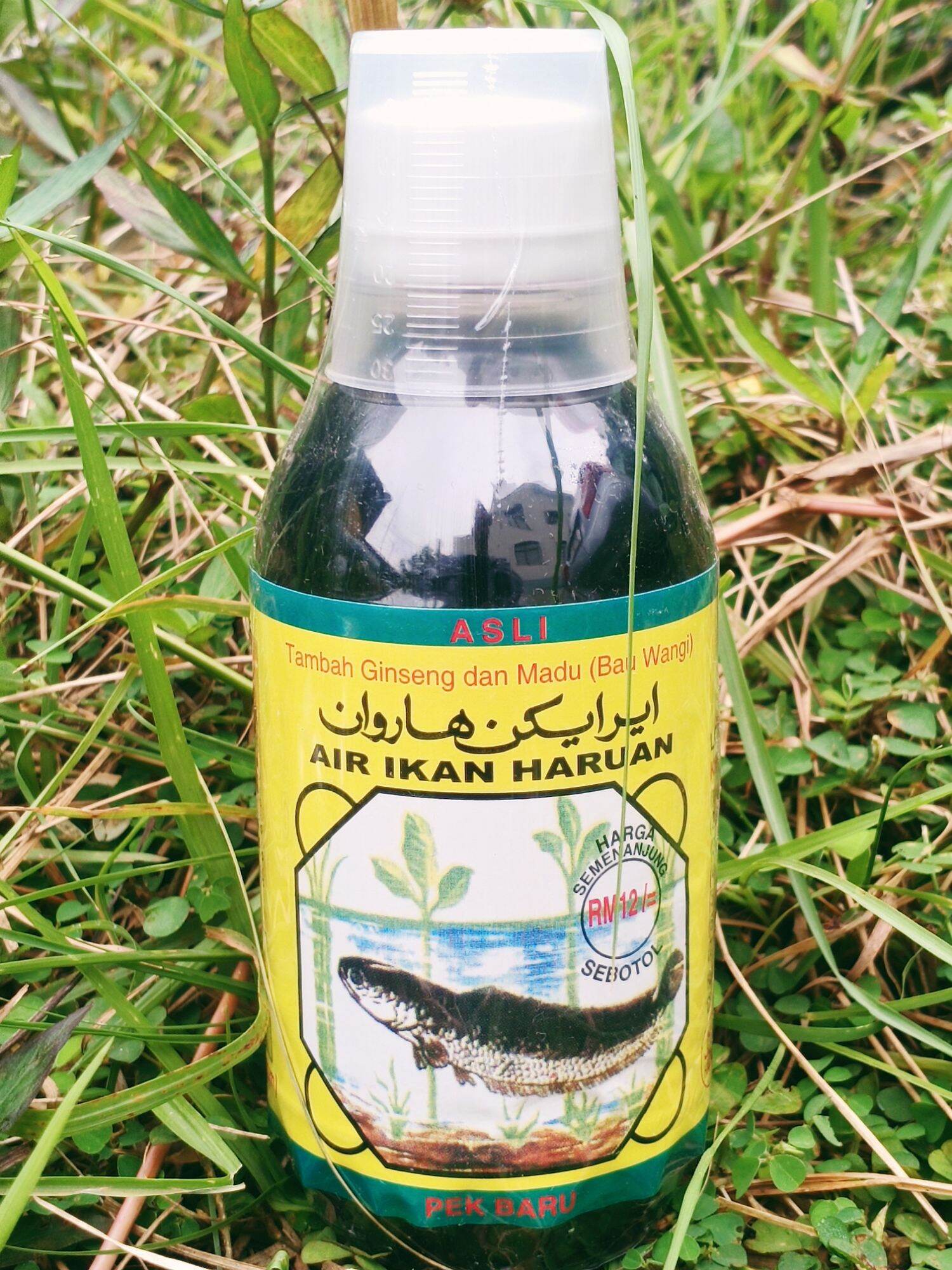 Air Ikan Haruan แท้💯% น้ำปลาช่อน(ขวดพลาสติก/ขวดแก้ว) | Lazada.co.th