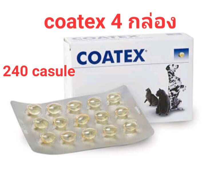 coatex 4 กล่อง 240 capsule อาหารเสริมบำรุงขนสุนัข อาหารเสริมบำรุขนแมว ...