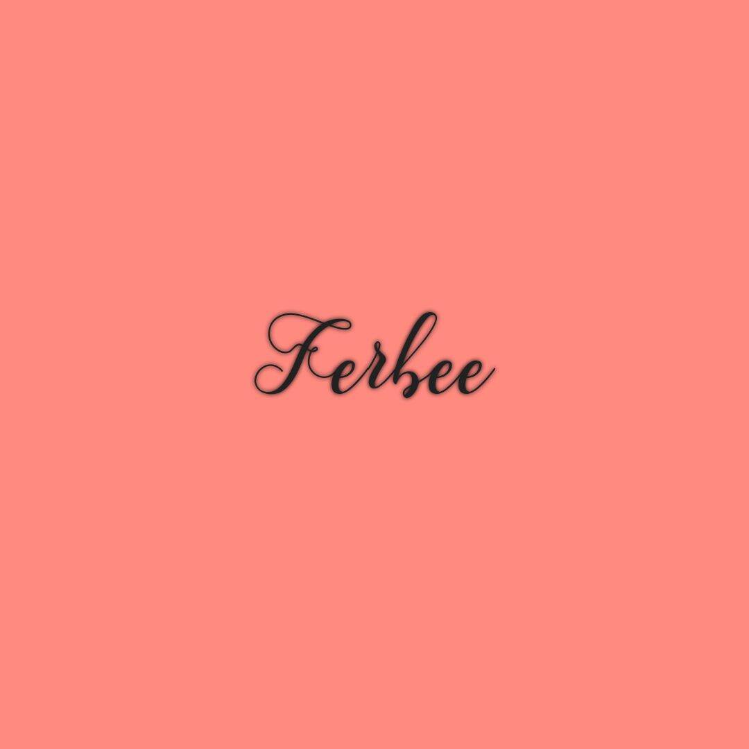 Ferbee shop5 ประเทศไทย ร้านค้าออนไลน์อย่างเป็นทางการ | ช้อปเลยบน Lazada