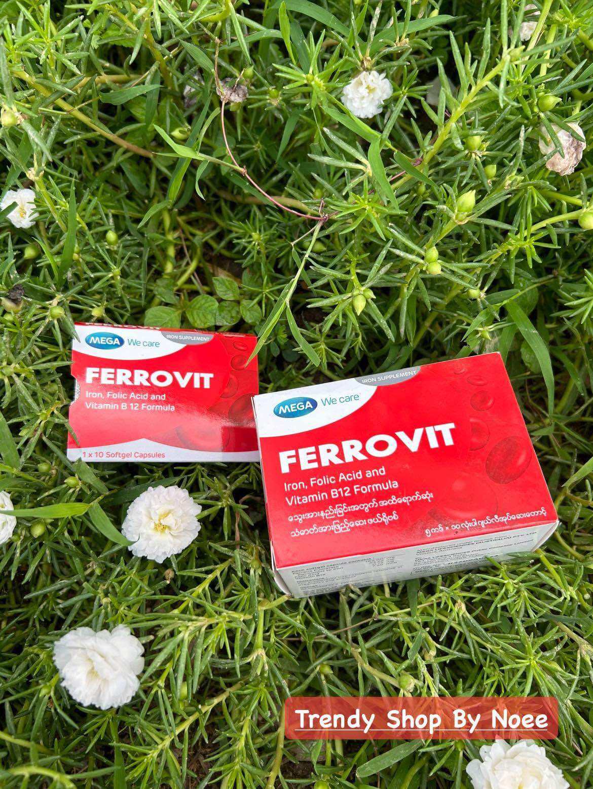 Ferrovit Iron Supplement | Lazada.co.th