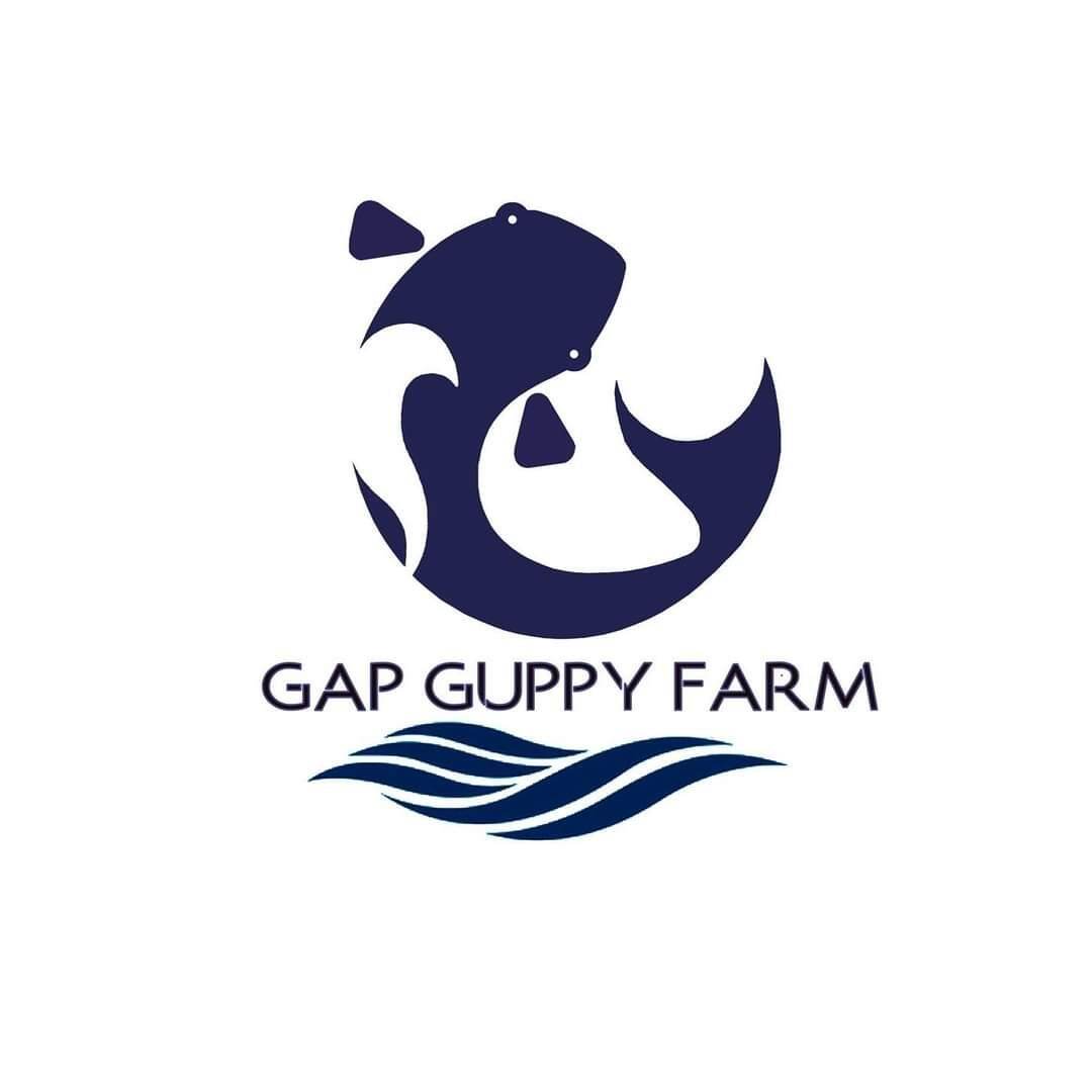 ช้อปออนไลน์ GAP GAPPY FARM | Lazada Thailand