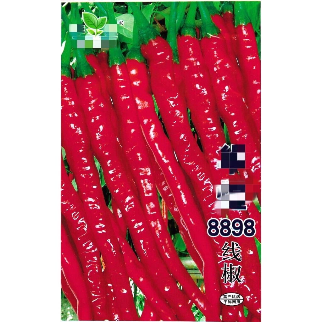 เมล็ดพันธุ์ พริกโจลอง 500 เมล็ด เมล็ดพริกยาวจีนยอดนิยม เมล็ดนำเข้า ...