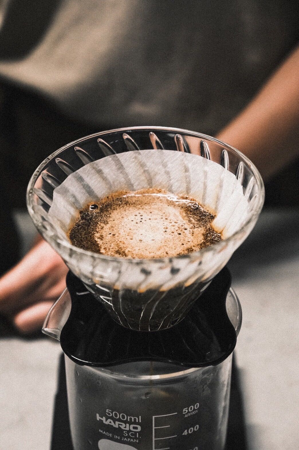 YEAH COFFEE เมล็ดกาแฟ คั่วอ่อน ETHIOPIA ANASORA (Process Anaerobic ...