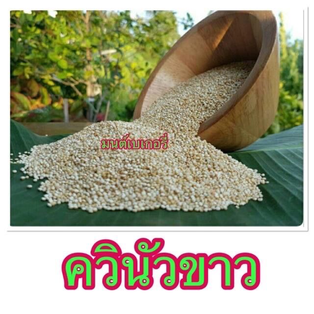 ควินัวขาว 1 กิโลกรัม - MonChai Chatide - ThaiPick