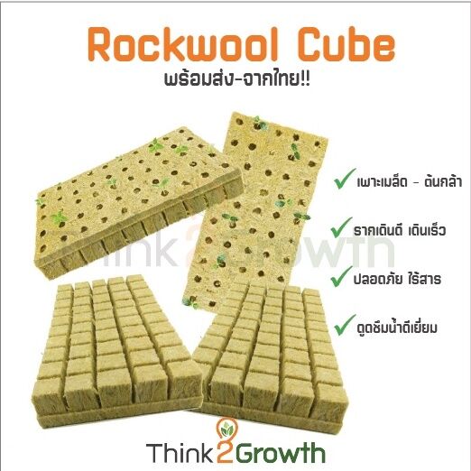 พร้อมส่ง (ยกแผง) Rockwool Cube วัสดุปลูก ที่นิยมสำหรับผู้ปลูกแบบไฮโดรโปนิกส์ | Lazada.co.th